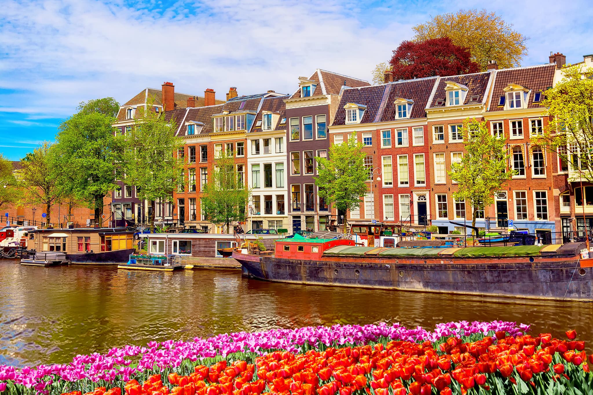 Solo Travel vs. Group Travel: Which One is Right for You?